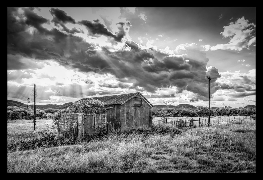 Latitude Run® Caddo Lake TX Hogs Wallow -Fine Art Giclee on Premium ...