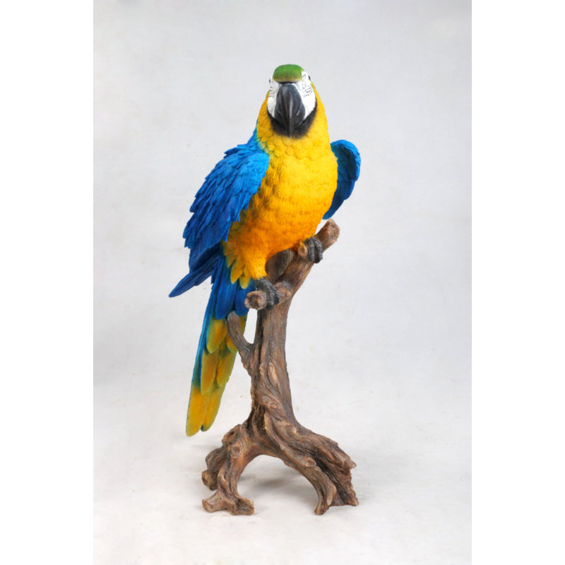 Hi-Line Gift Ltd. Macaw Statue & Reviews | Wayfair
