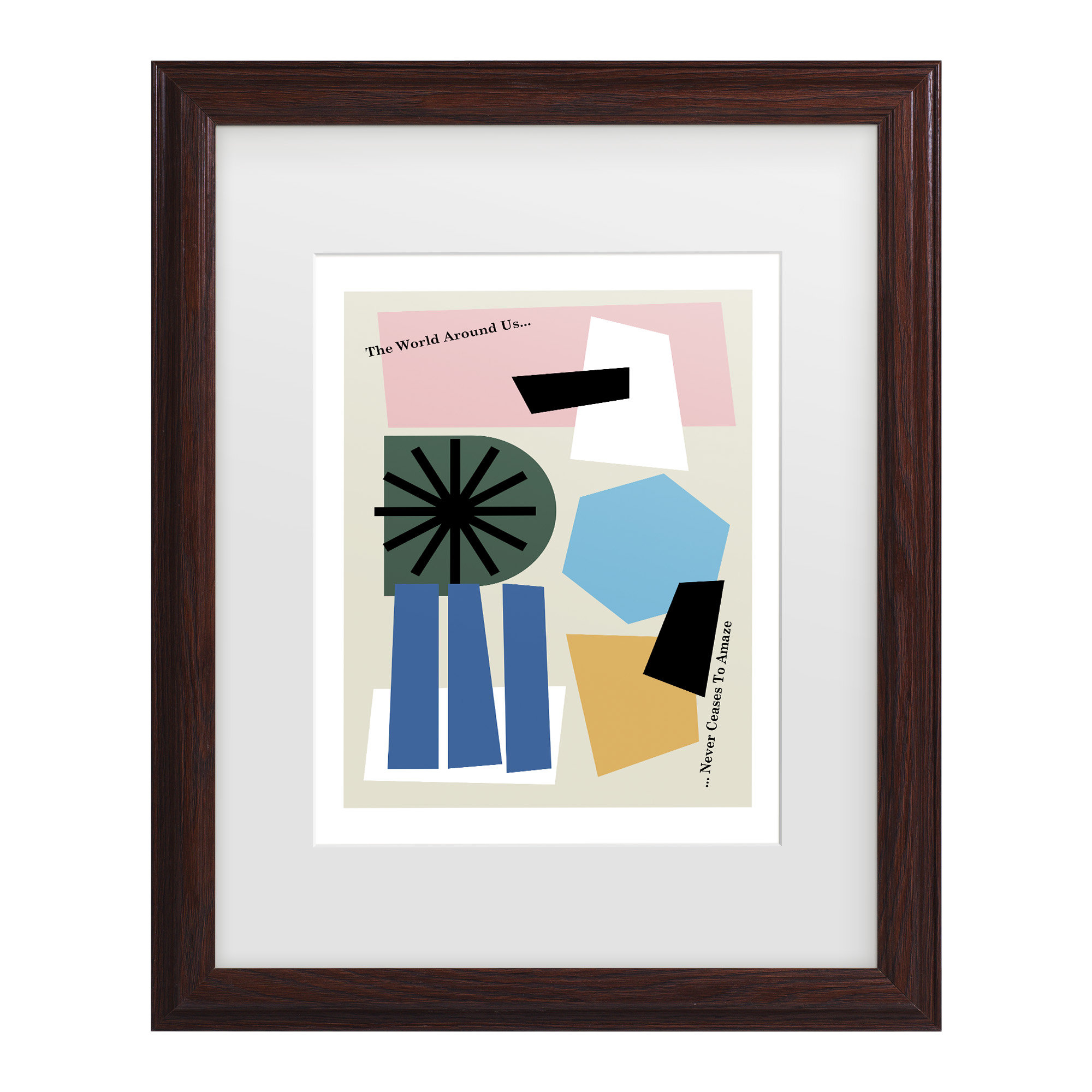 Trademark Fine Art Frances Collett The World Around Us Matted Framed ...