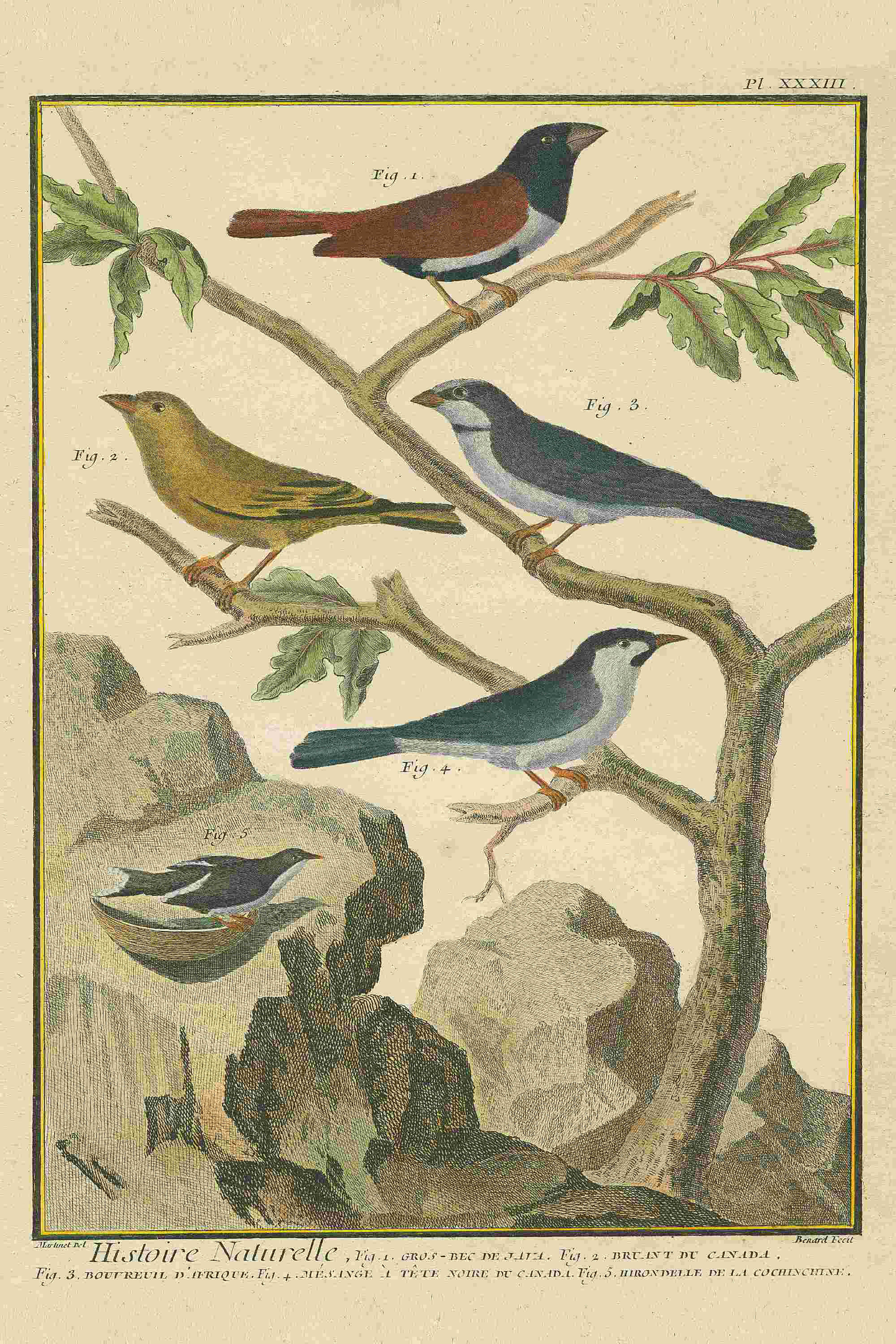 Winston Porter Bird Drawing IV - Wayfair Canada