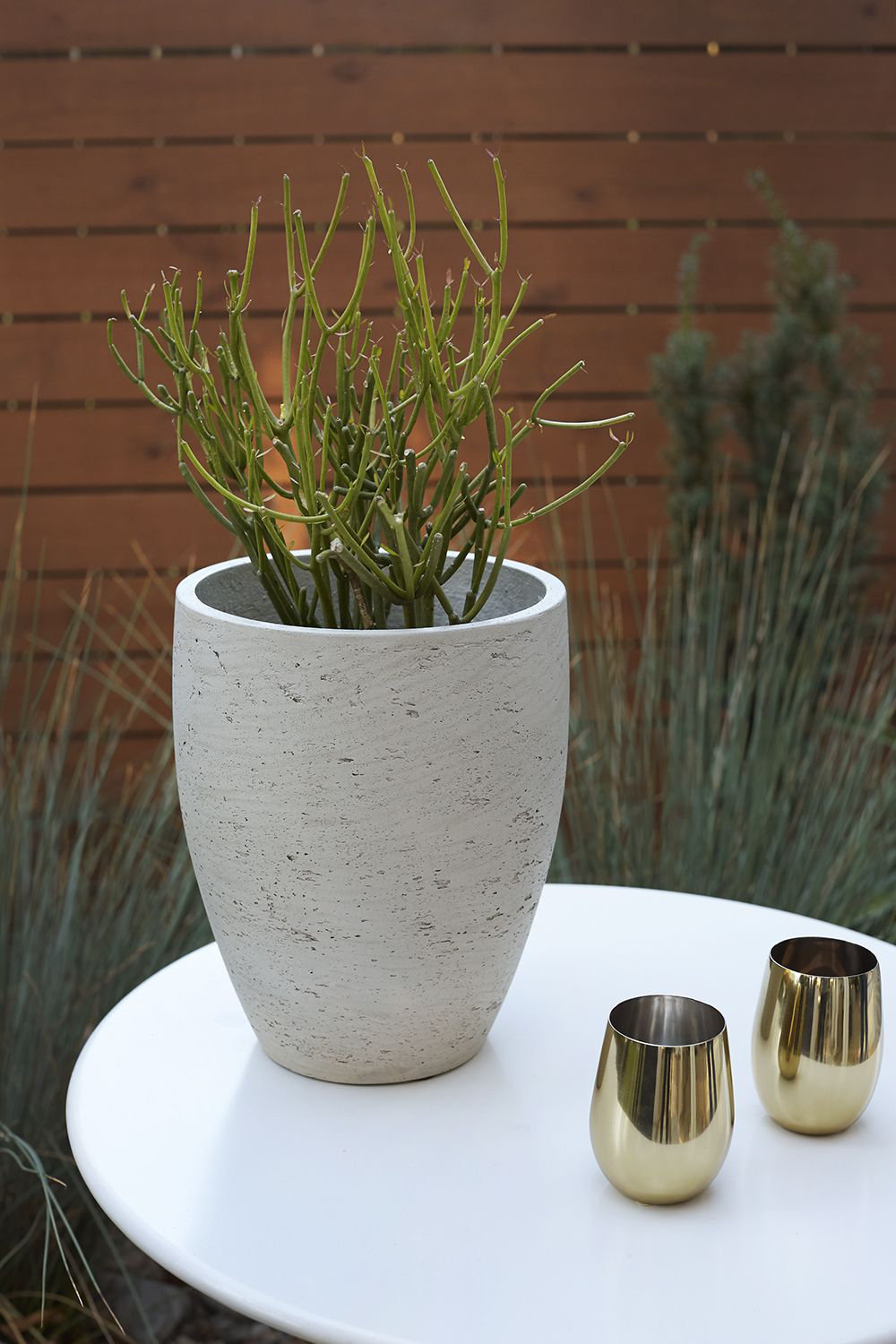 AllModern Daril Composite Pot Planter & Reviews - Wayfair Canada