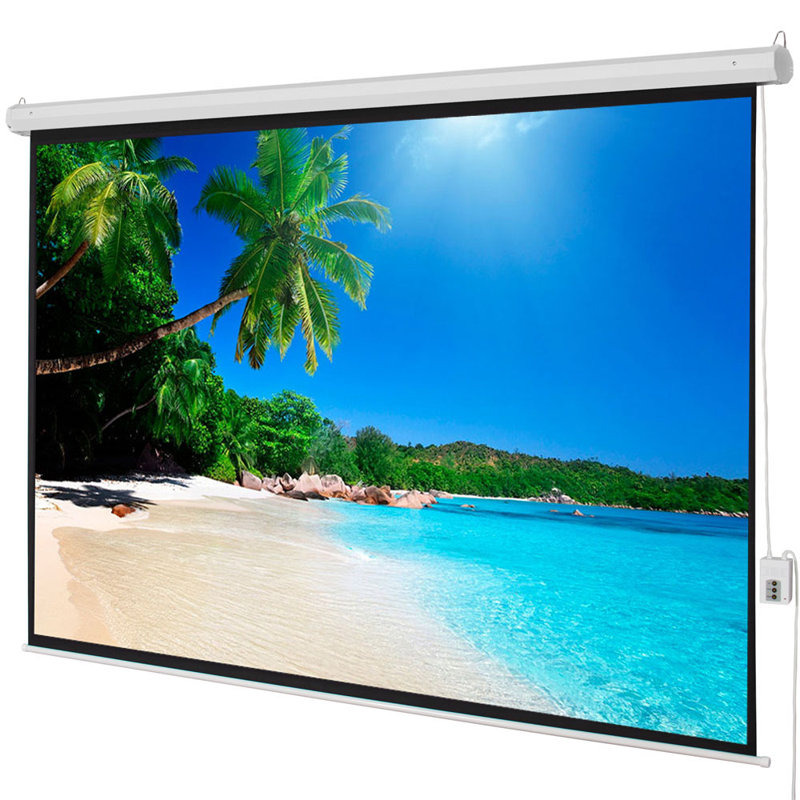 Ktaxon White 100" Electric Projection Screen & Reviews | Wayfair