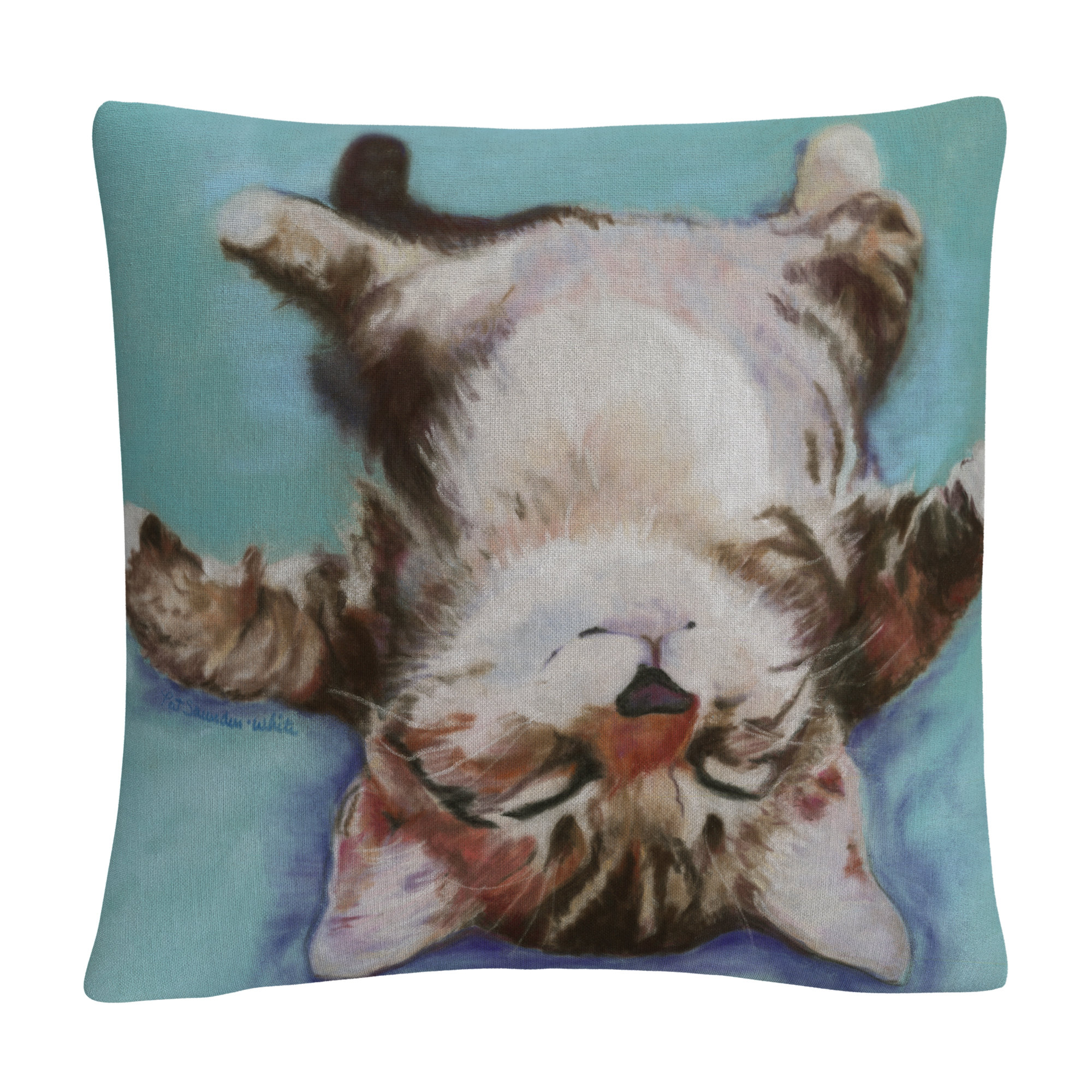 Trademark Fine Art Pat Saunders-White Little Napper Throw Pillow | Wayfair