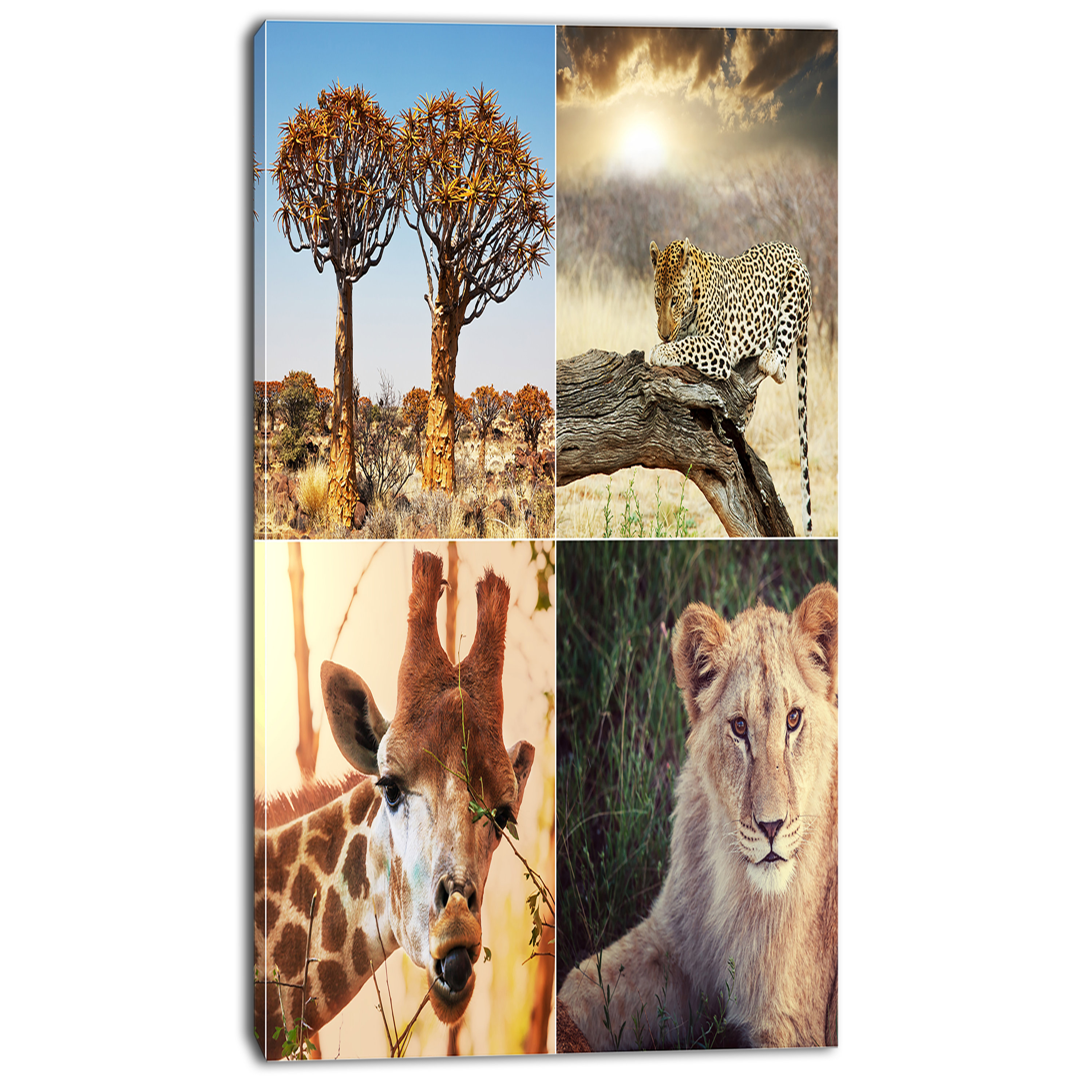 Design Art African Safari Wildlife Collage - Graphic Art Print | Wayfair