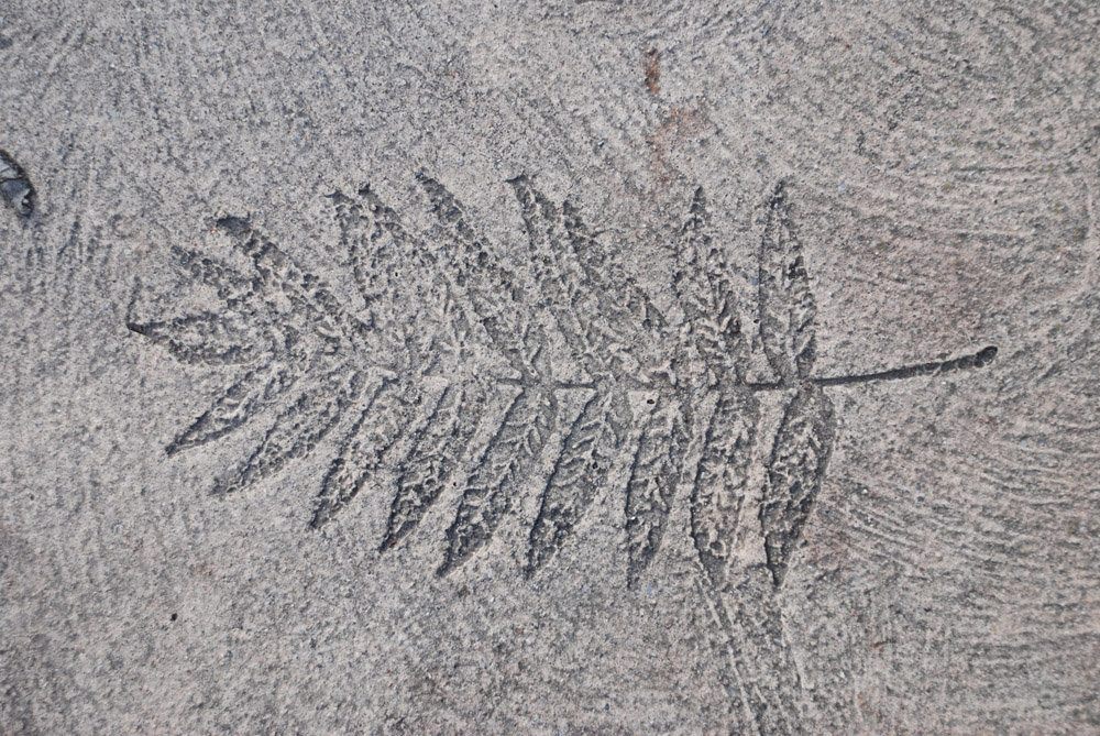 Winston Porter " Fern Leaf Pressed In Concrete " | Wayfair