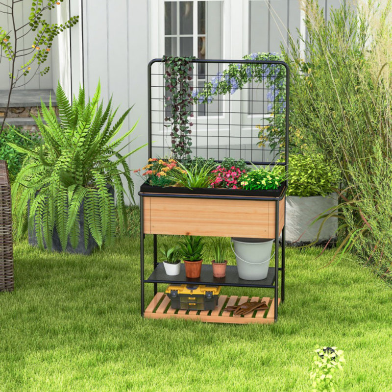 17 Stories Raised Garden Bed With Trellis 2-Tier Storage Shelves | Wayfair