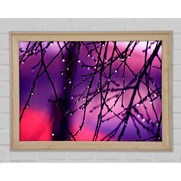 Ebern Designs Wet Twigs - Single Picture Frame Print | Wayfair.co.uk
