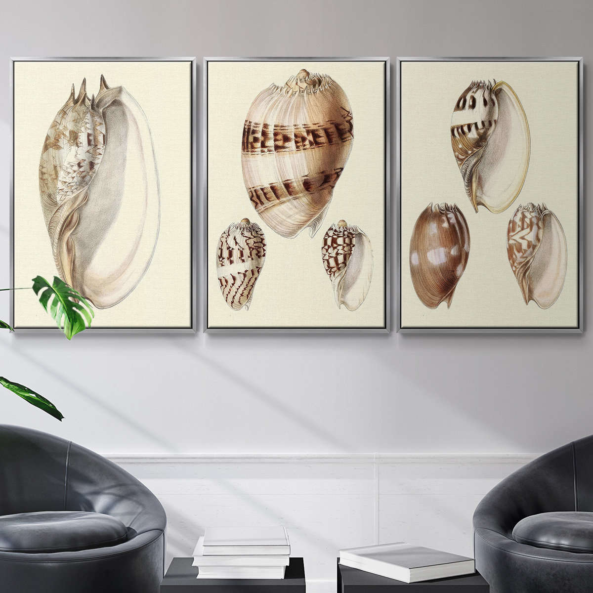 Wexford Home Spiral Shell Formation IFramed Premium Gallery Wrapped ...
