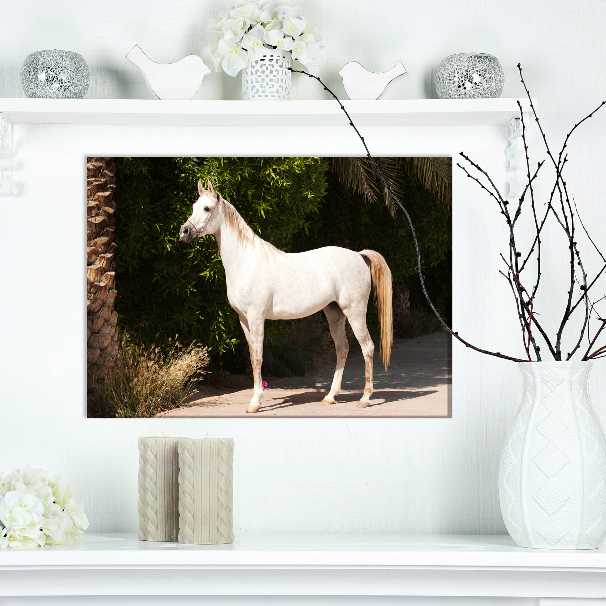 East Urban Home Farmhouse 'White Arabian Horse' Photographic Print on ...