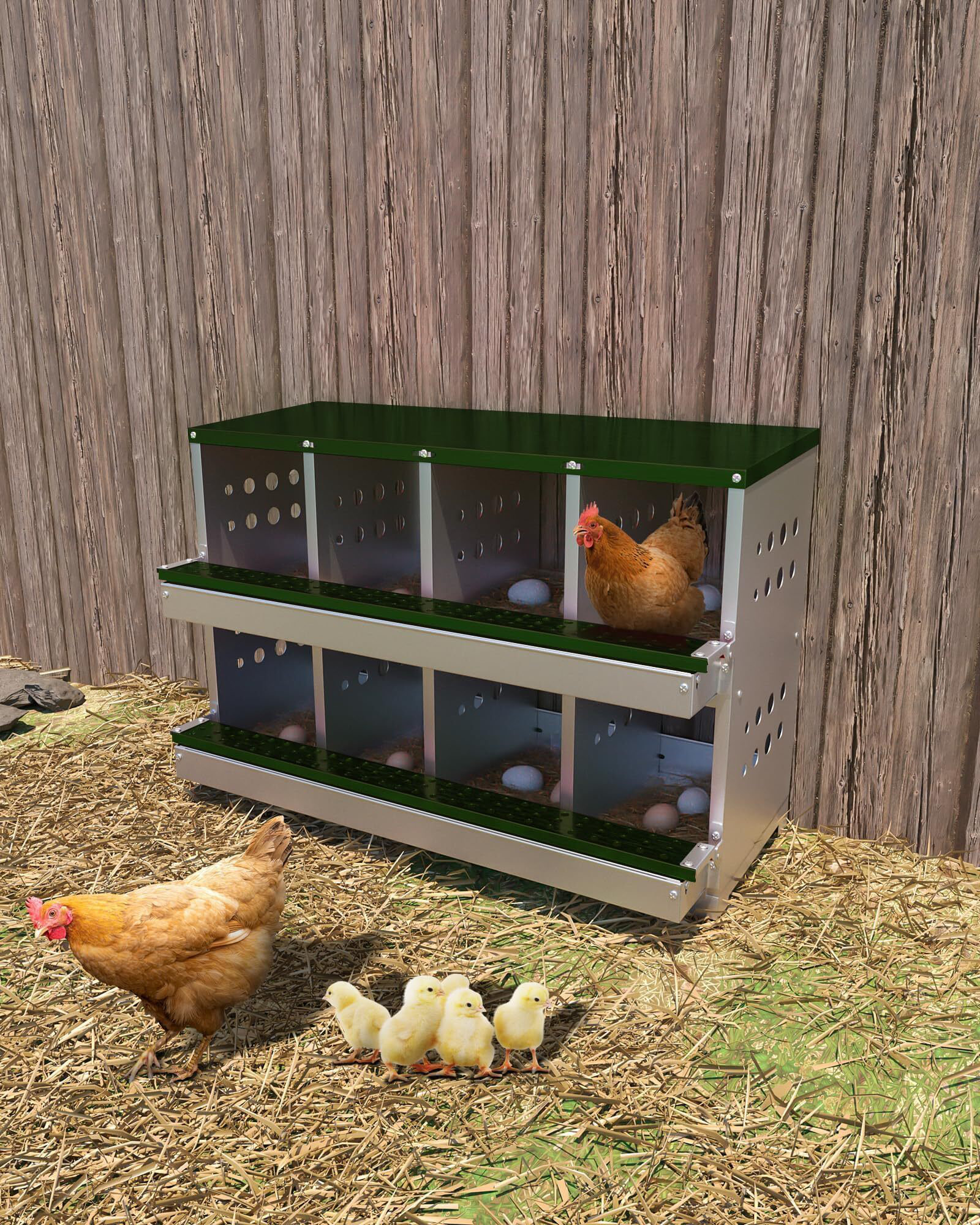 Tucker Murphy Pet™ 8-Hole Galvanized Metal Chicken Nesting Box with Egg ...
