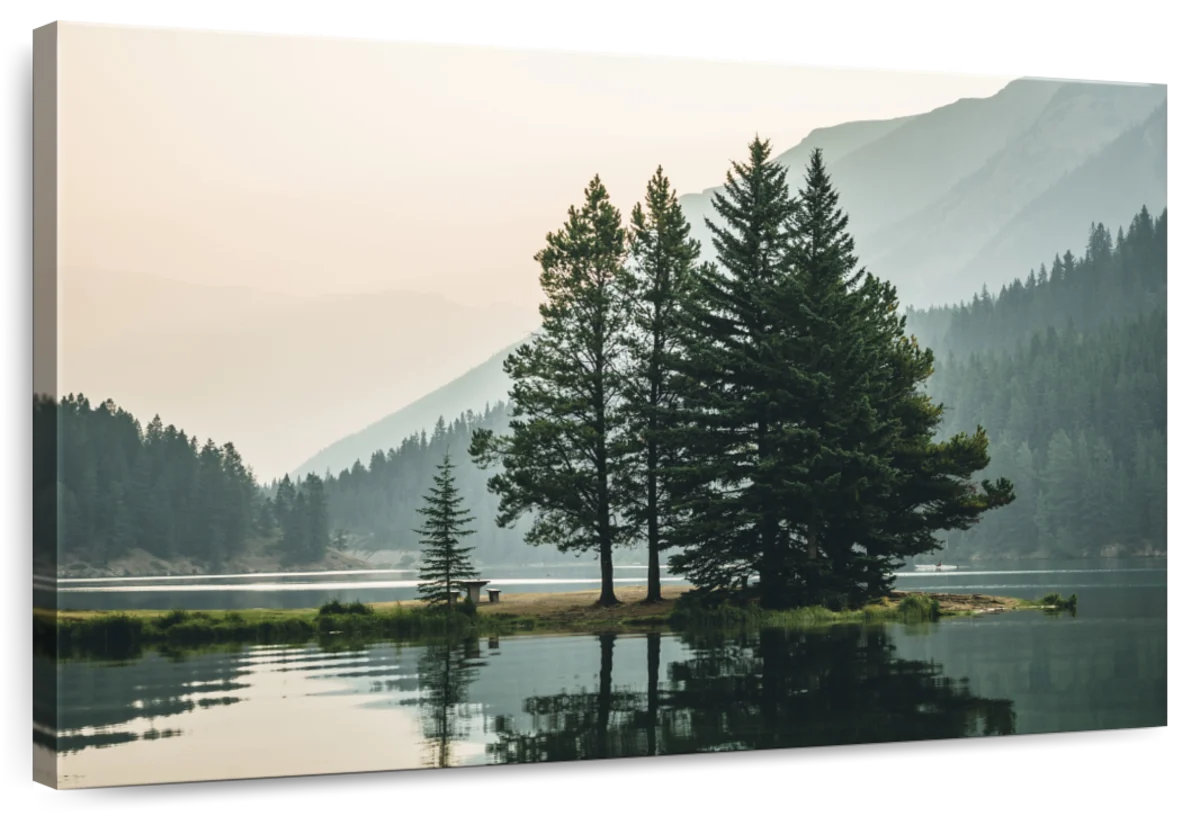 Lark Manor Harnek Lake Jack Cedar Trees - Wayfair Canada