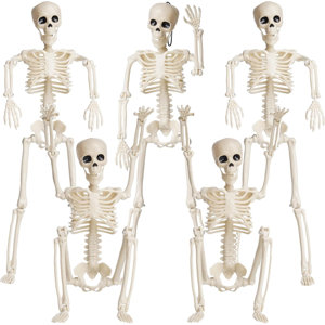 The Holiday Aisle® Full Body Small Skeleton With Posable Movable Joints ...