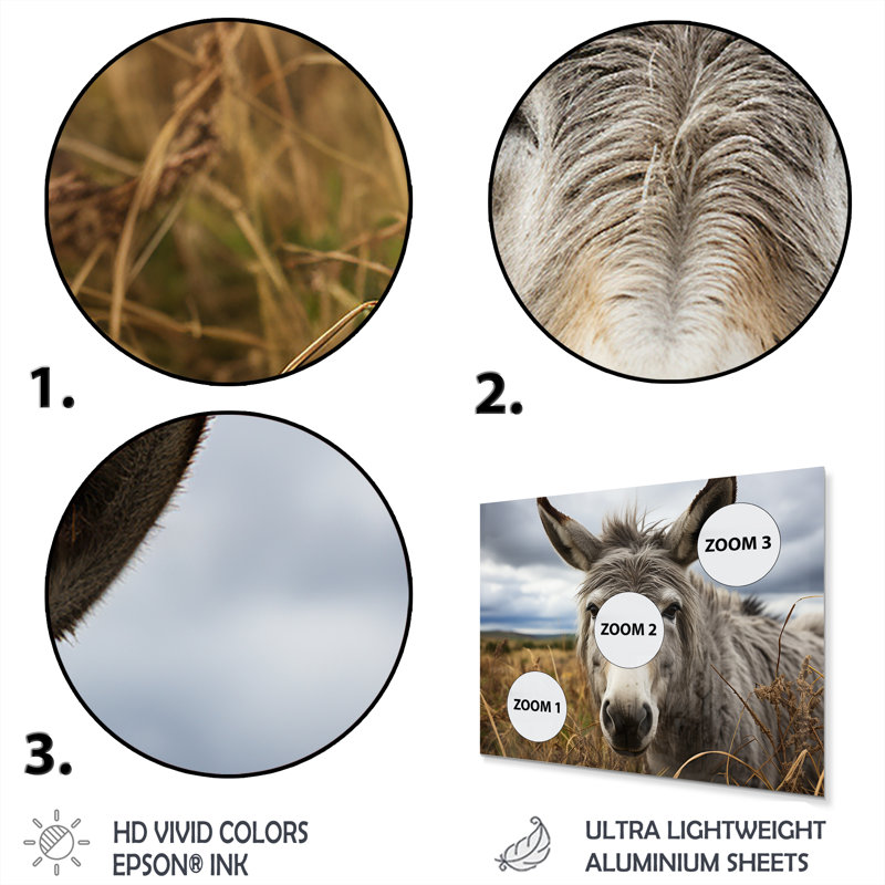 Design Art Grey Donkey Gentle Companion - Animals Metal Wall Art Living ...