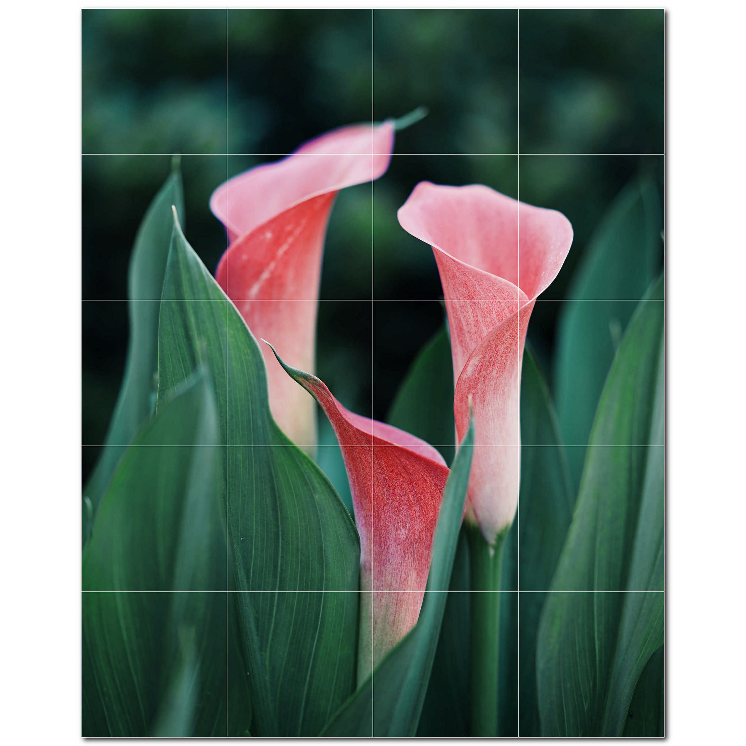 Picture-Tiles.com 12'' x 12'' Satin Ceramic Decorative Mural | Wayfair