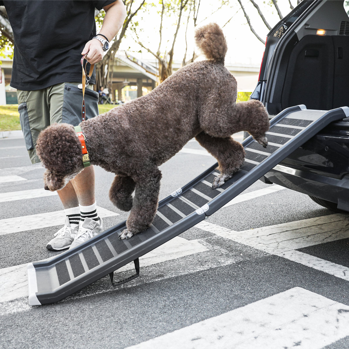 Tucker Murphy Pet™ Foldable Pet Car Ramp Portable Dogs Step Ladder with ...