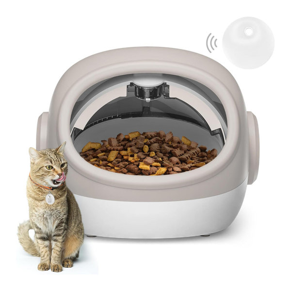 AMIZOY Automatic Cat Feeder,RFID Cat Food Dispenser with Collar Sensor ...