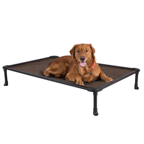 Extra Large Elevated Dog Beds | Wayfair