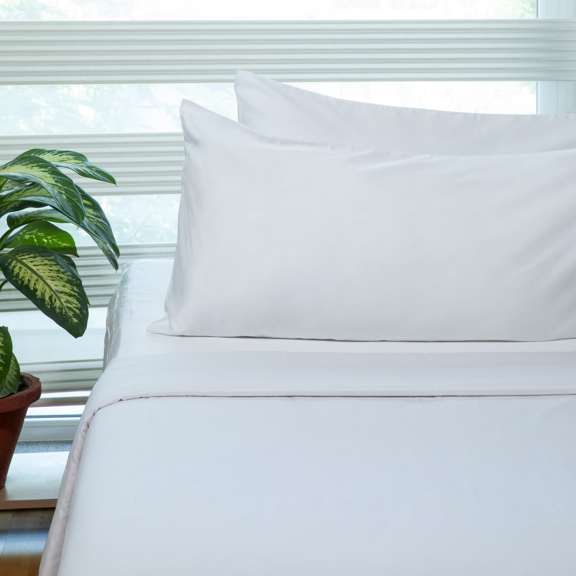Fabdreams Sateen 400 Thread Count Organic 100% Cotton Sheet Set ...