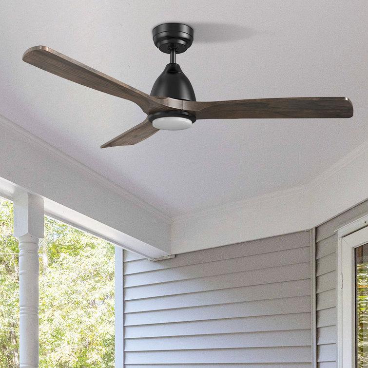 Ivy Bronx Elimelech 48'' Ceiling Fan with LED Lights - Wayfair Canada