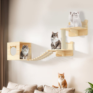 Cat Perches You'll Love - Wayfair Canada