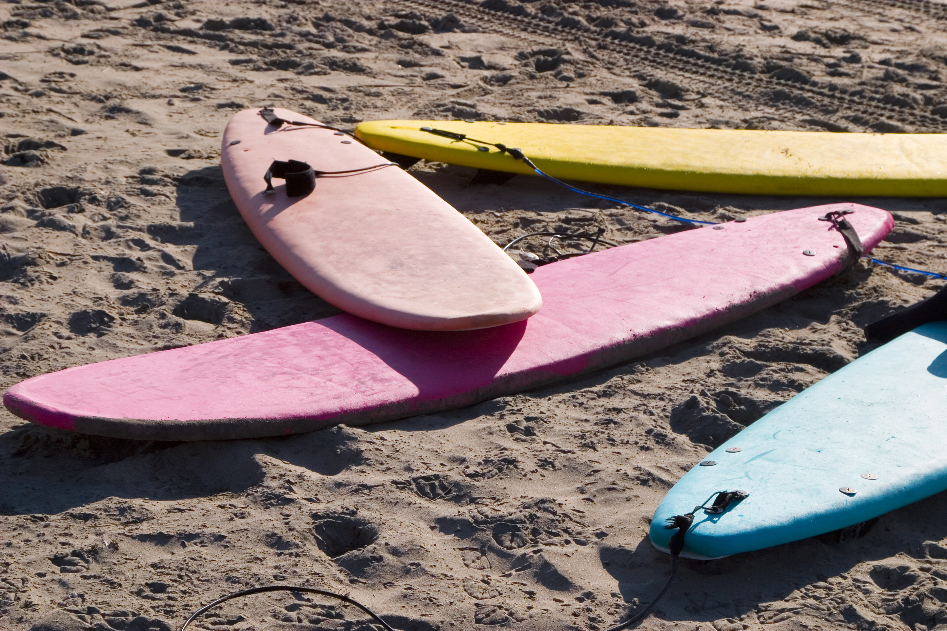 Beachcrest Home™ Surfboards by Mccaig | Wayfair