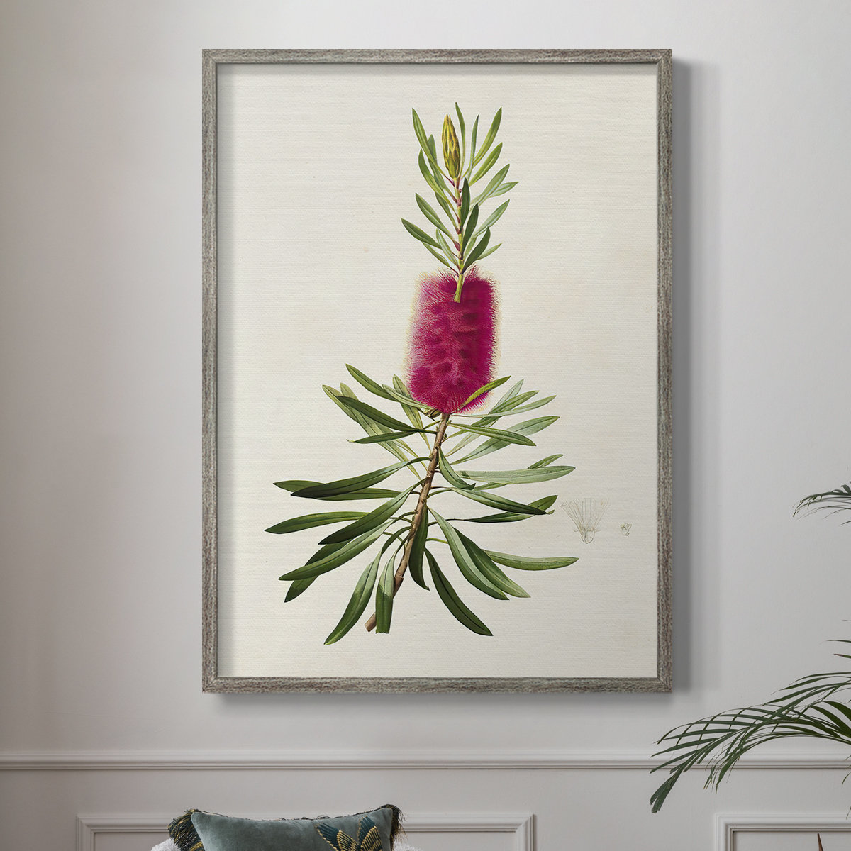 Lark Manor™ Pretty Pink Botanicals VII Framed Print - Solid Wood ...