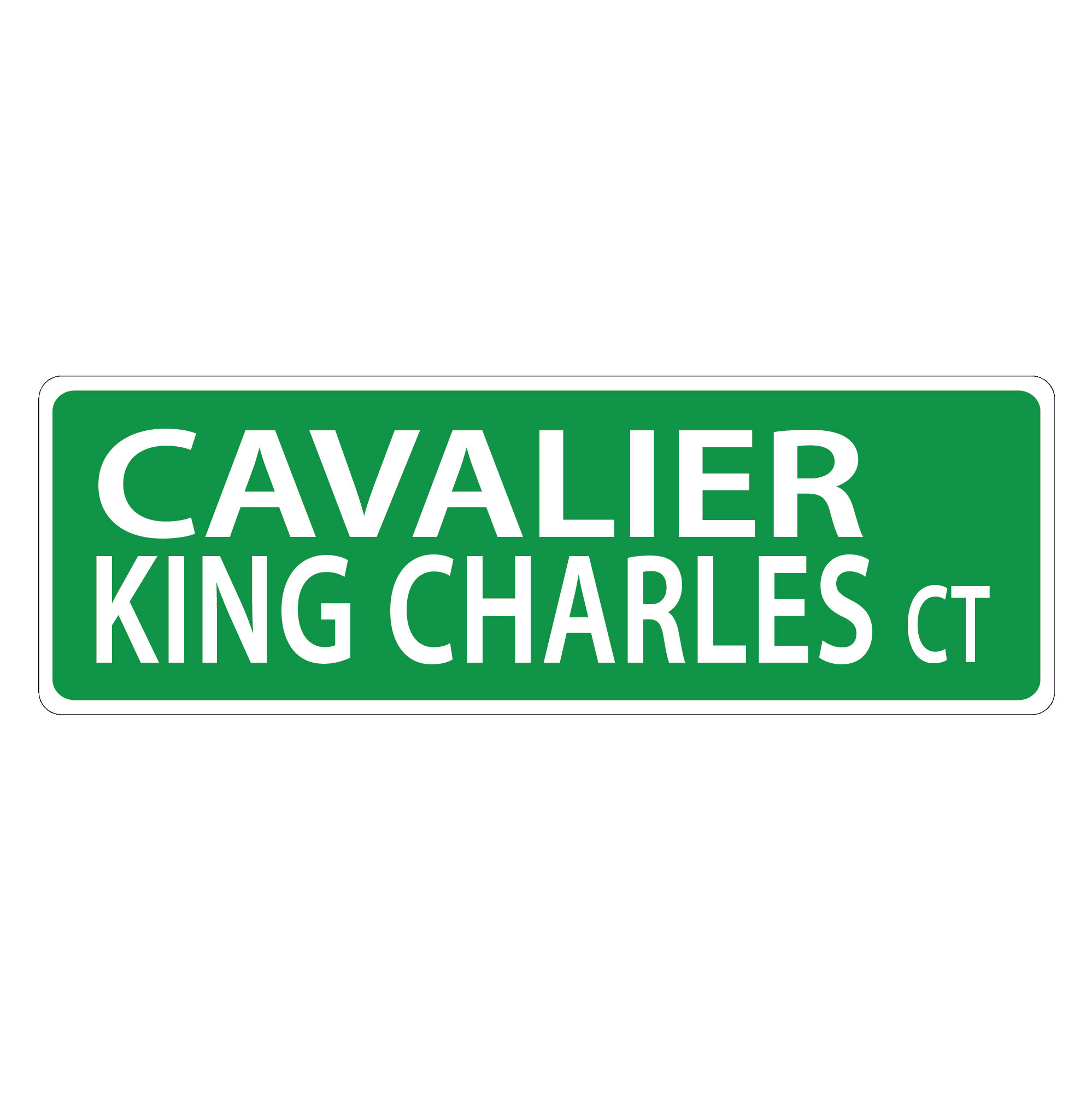 Imagine This Company Cavalier King Charles Street Sign - Wayfair Canada