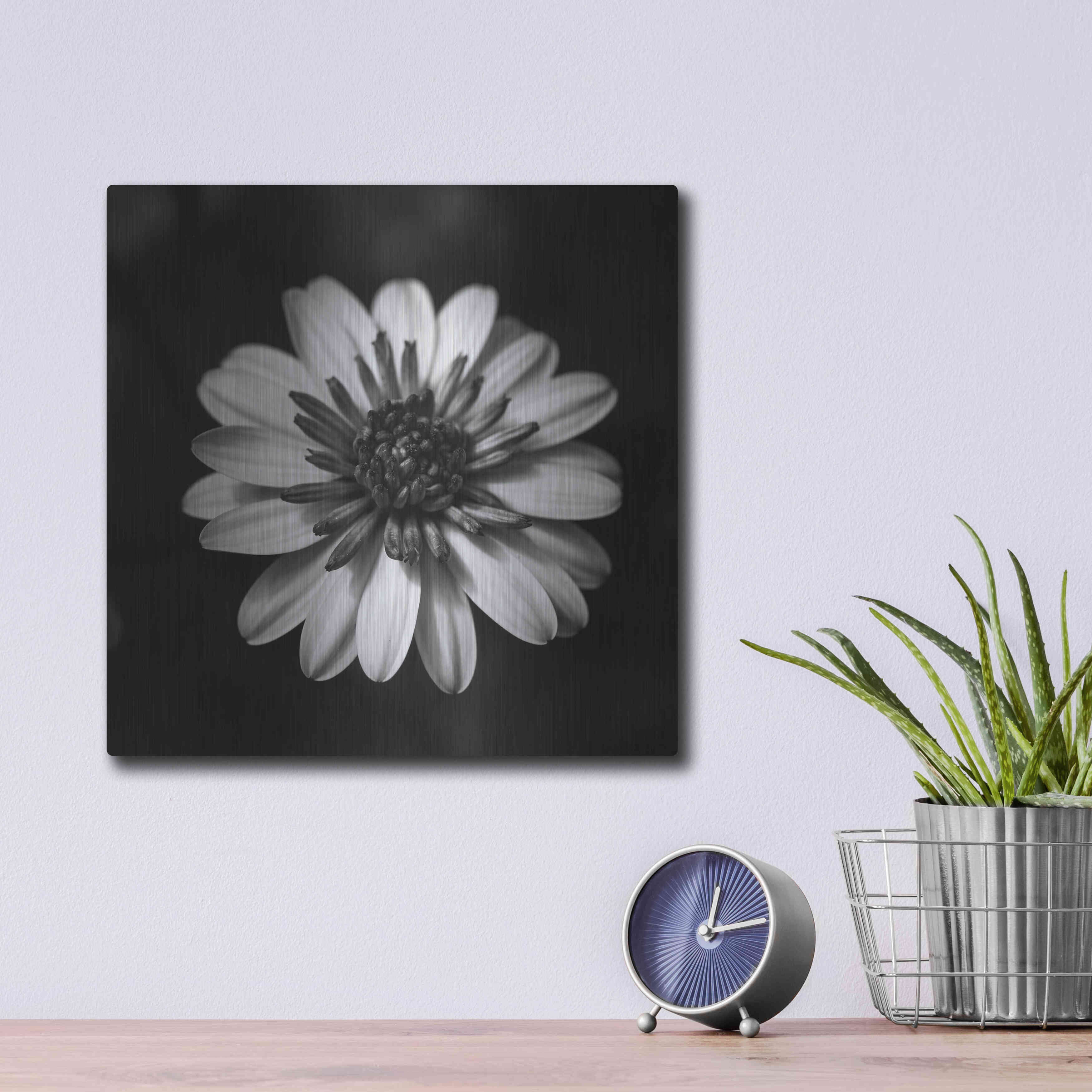 Winston Porter Sunny Bloom Monochrome' By Leah Mc " Sunny Bloom ...