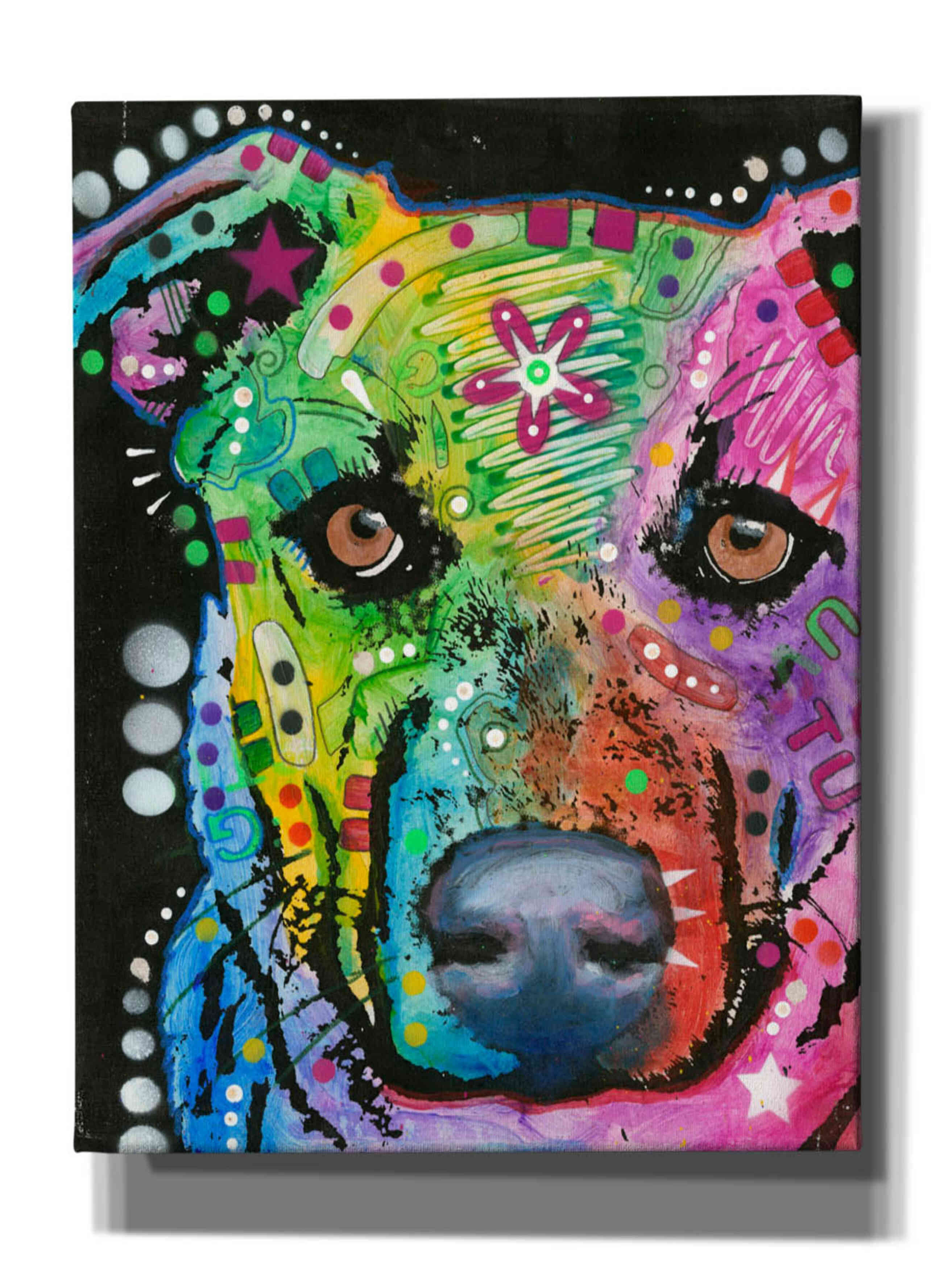 Latitude Run® I Didn't Do It' by Dean Russo - Wrapped Canvas Print ...