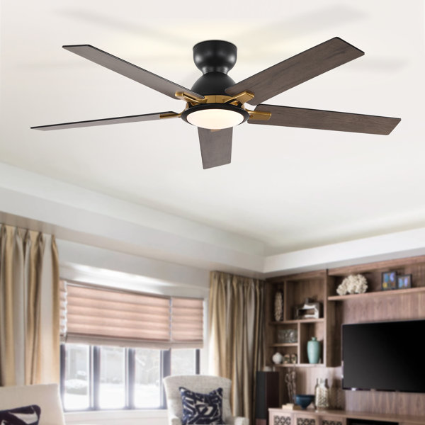 Mercer41 Anjelien 52'' Ceiling Fan with LED Lights - Wayfair Canada
