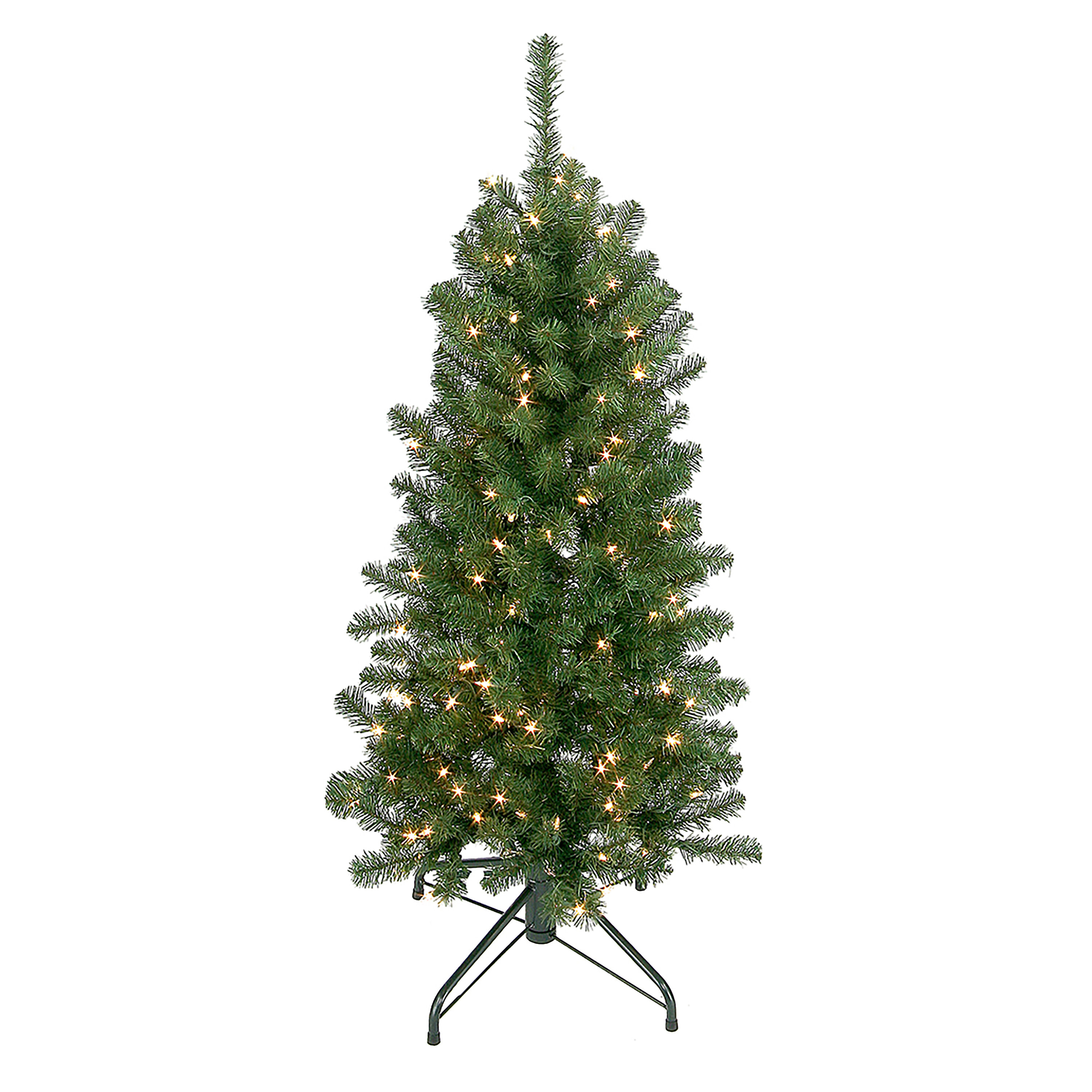 Regency International Lit Hudson Valley Pencil Tree | Wayfair