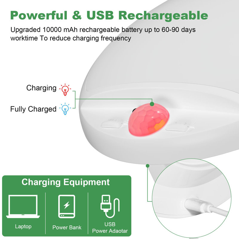 Wrought Studio™ Motion Sensored, Bright LED Overhead Ceiliing Light ...