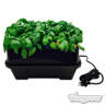 Viagrow 24 Site Aeroponic Hydroponic System & Reviews | Wayfair