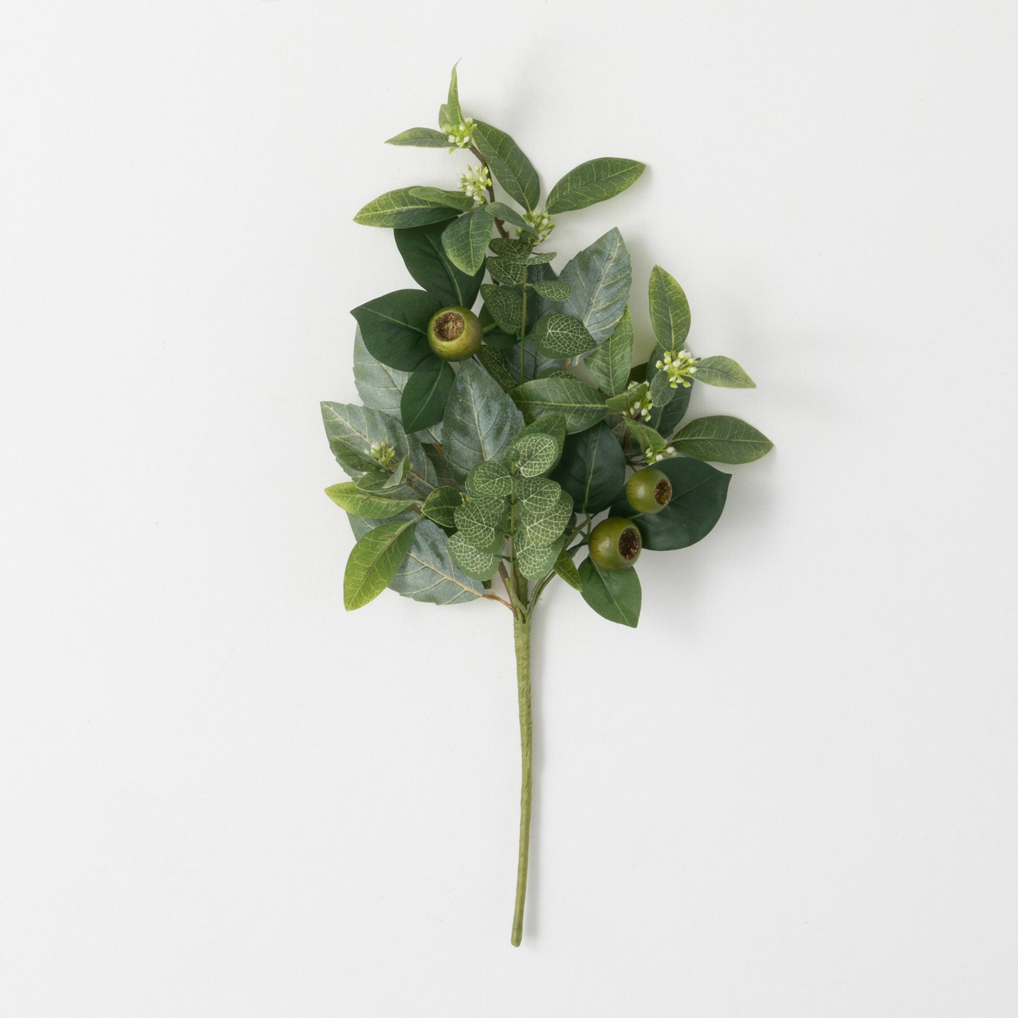 Freeport Park® Mcpeak Israeli Ruscus Stems | Wayfair