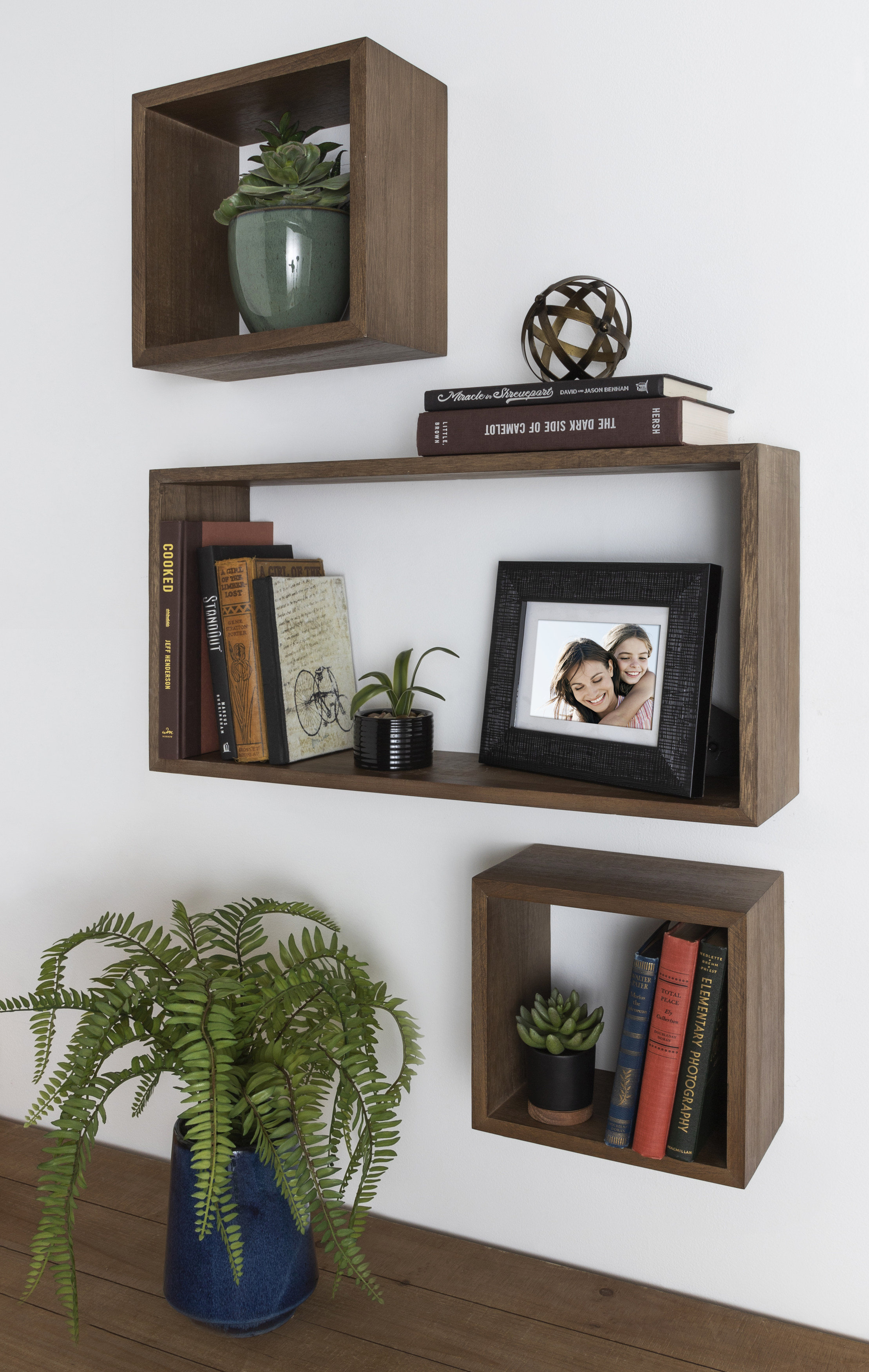 Loon Peak Dipaolo 3 Piece Solid Wood Accent Shelves - Wayfair Canada