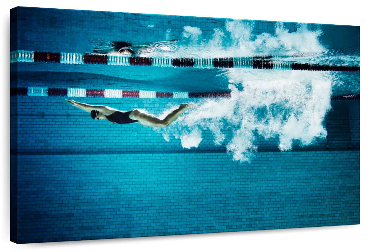 Beachcrest Home Underwater Swimmer - Wayfair Canada