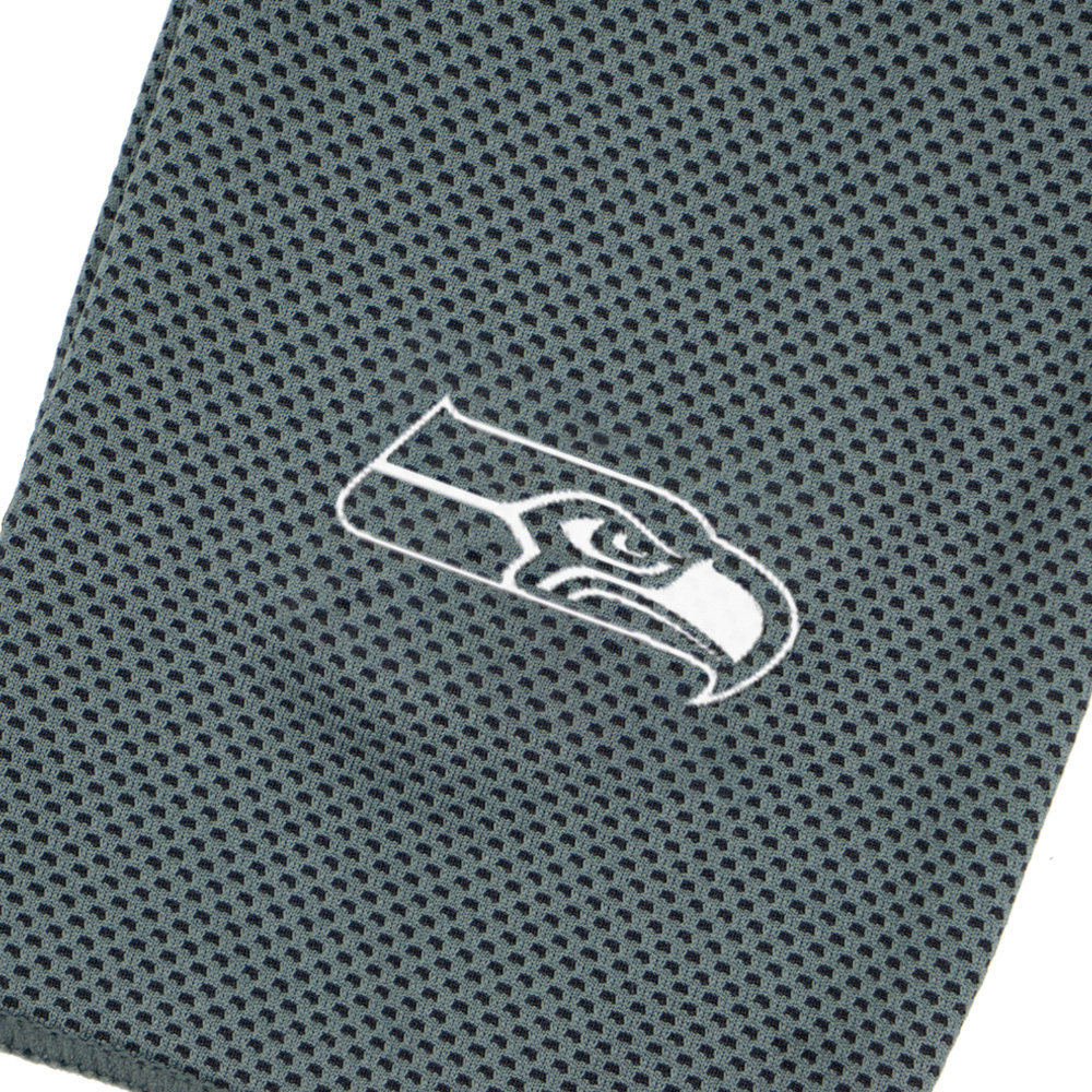 Northwest NFL Frosted Seahawks Hand Towel | Wayfair