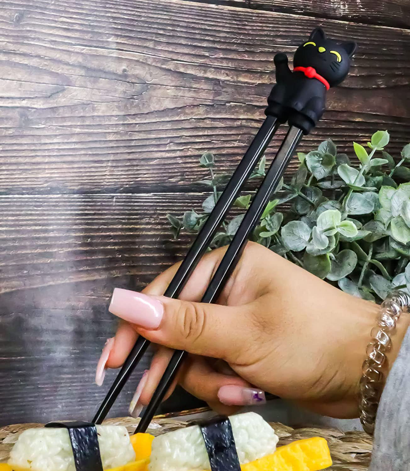 Trinx Reusable Training Chopsticks Set With Animated Food Safe Silicone ...