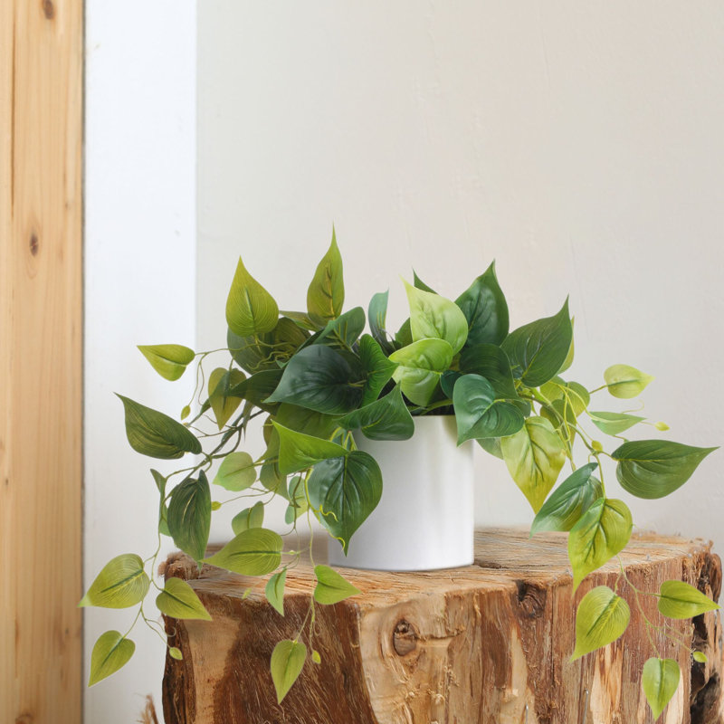 Primrue Faux Foliage Plant in Ceramic Pot & Reviews | Wayfair