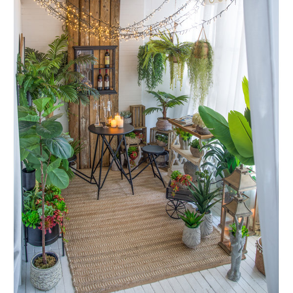 Bungalow Rose Madilyne Terracotta Pot Planter & Reviews | Wayfair