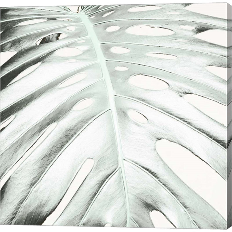 Bayou Breeze Summer Palm By Kali Wilson, Canvas Wall Art | Wayfair