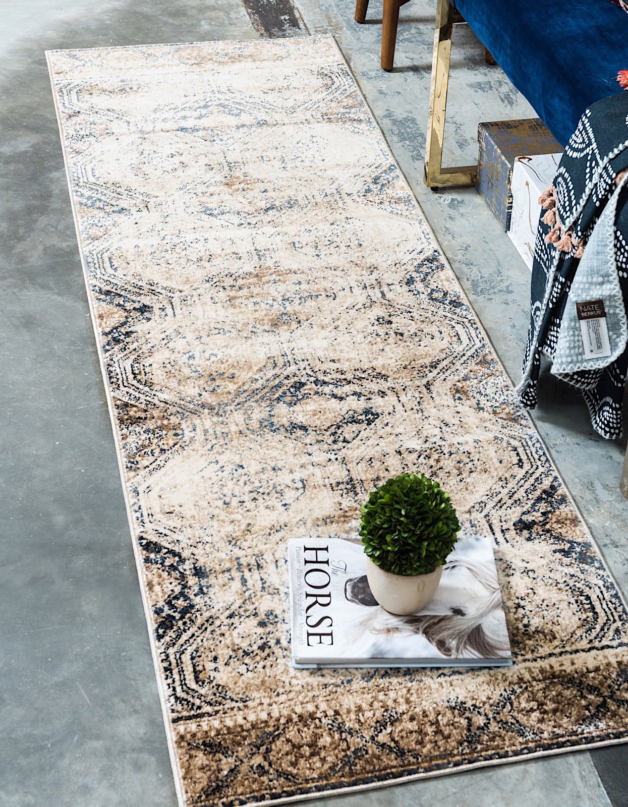 Charlton Home® Widener Oriental Brown/Blue Area Rug | Wayfair