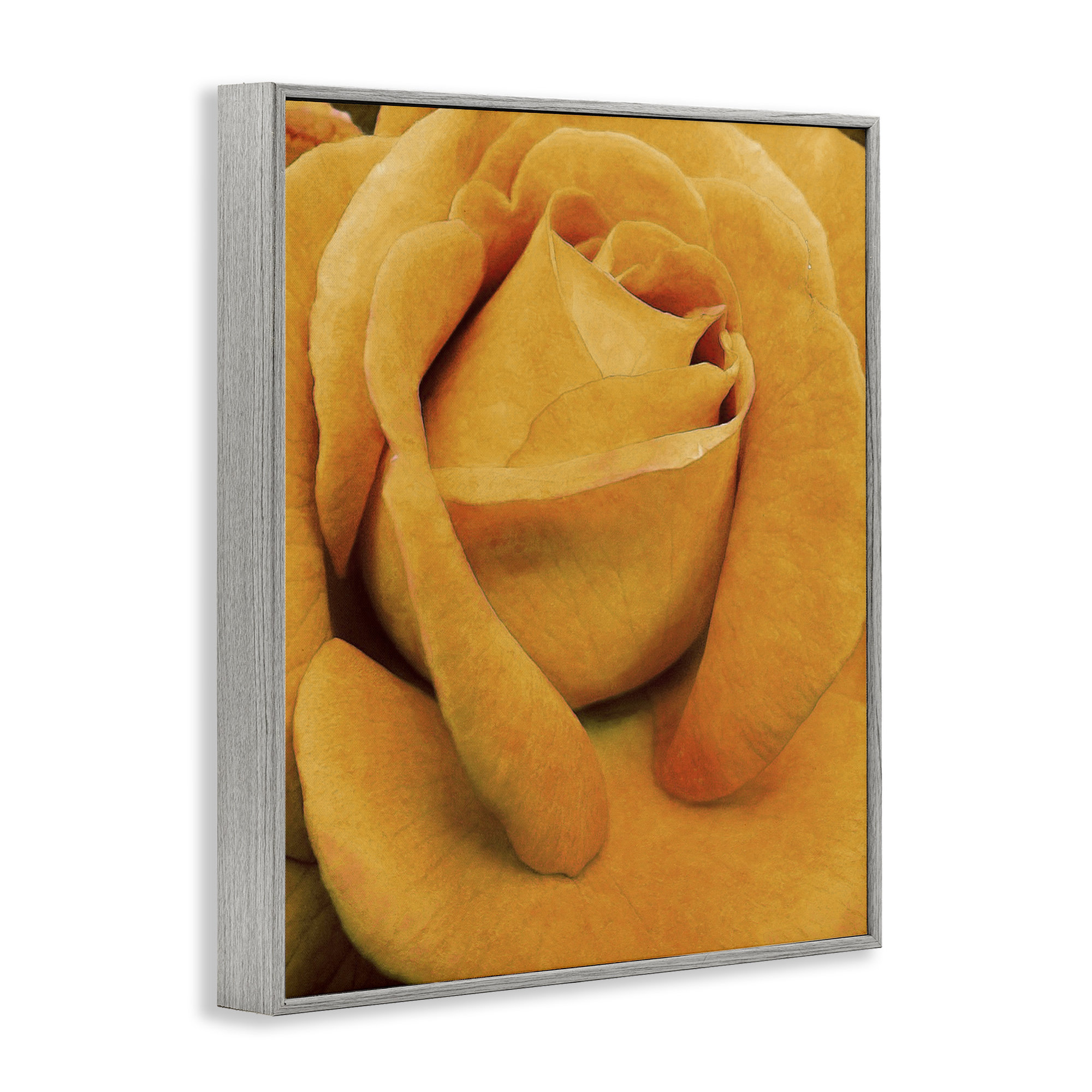 Dakota Fields Yellow Rose Close Art by Alonzo Saunders bg-079 | Wayfair