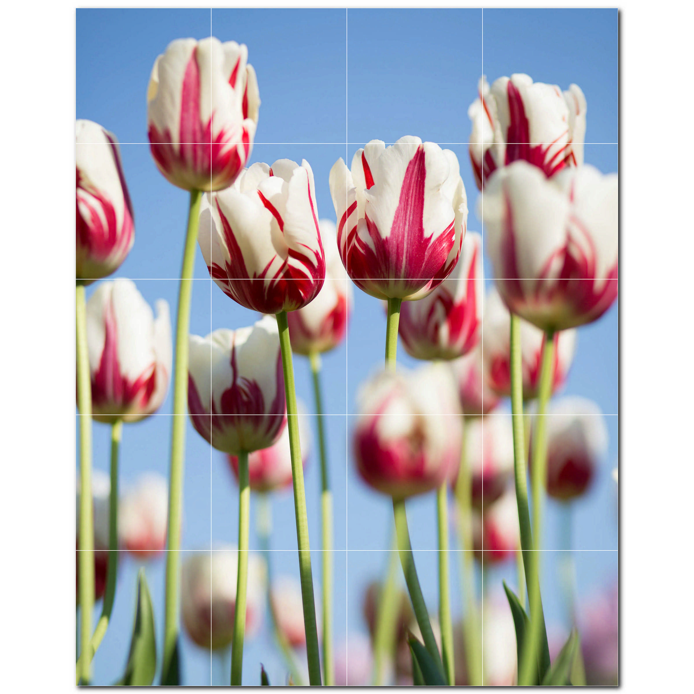 Picture-Tiles.com 12'' x 12'' Satin Ceramic Decorative Mural | Wayfair