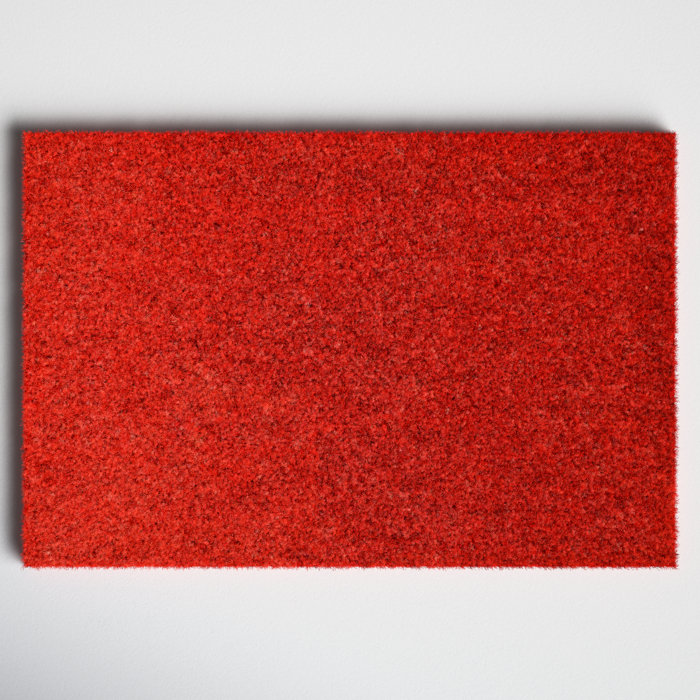 Wade Logan® Kasper Non-Slip Outdoor Doormat & Reviews | Wayfair