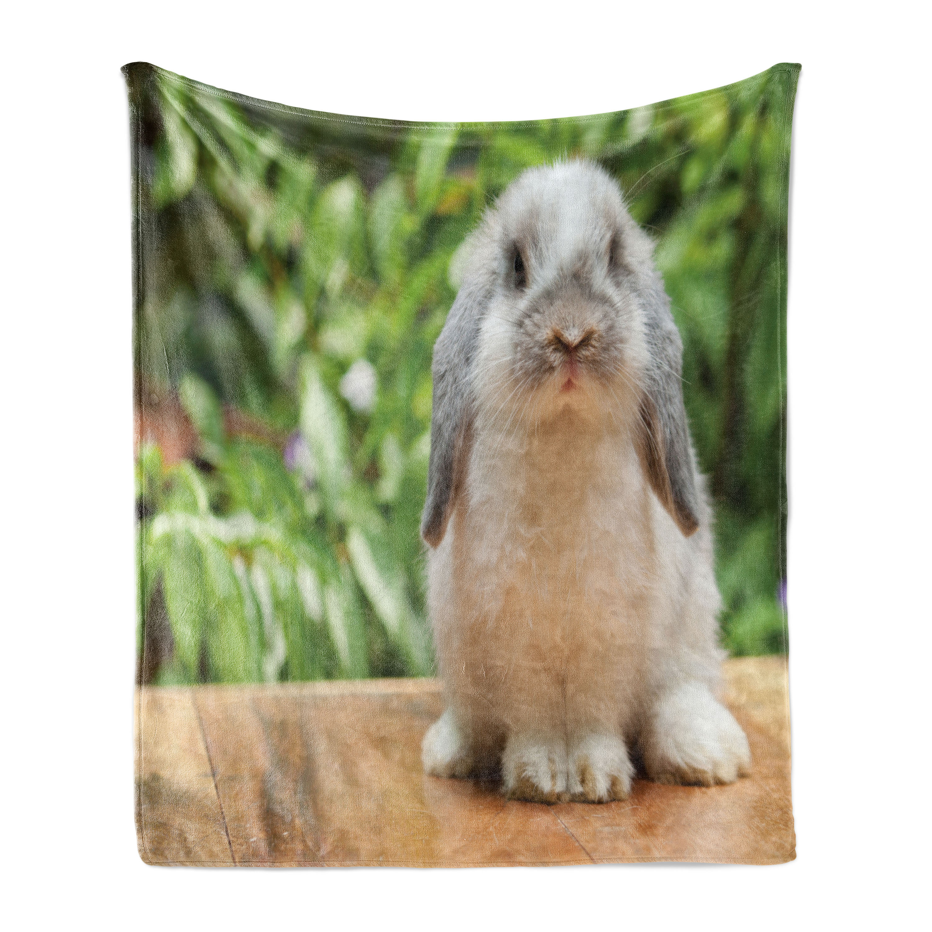 Ambesonne Bunny Fleece Throw Blanket Photo of Holland Lop Rabbit ...