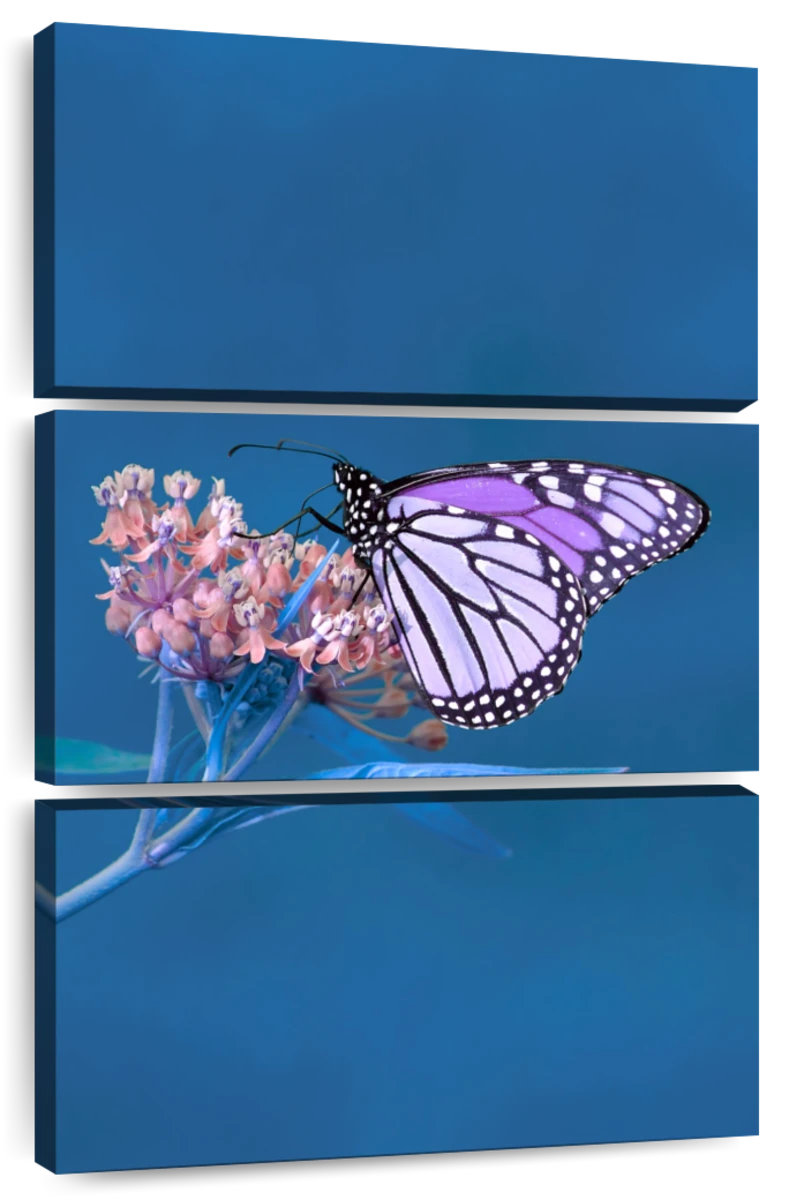 Ebern Designs Brampt Purple Monarch Butterfly | Wayfair
