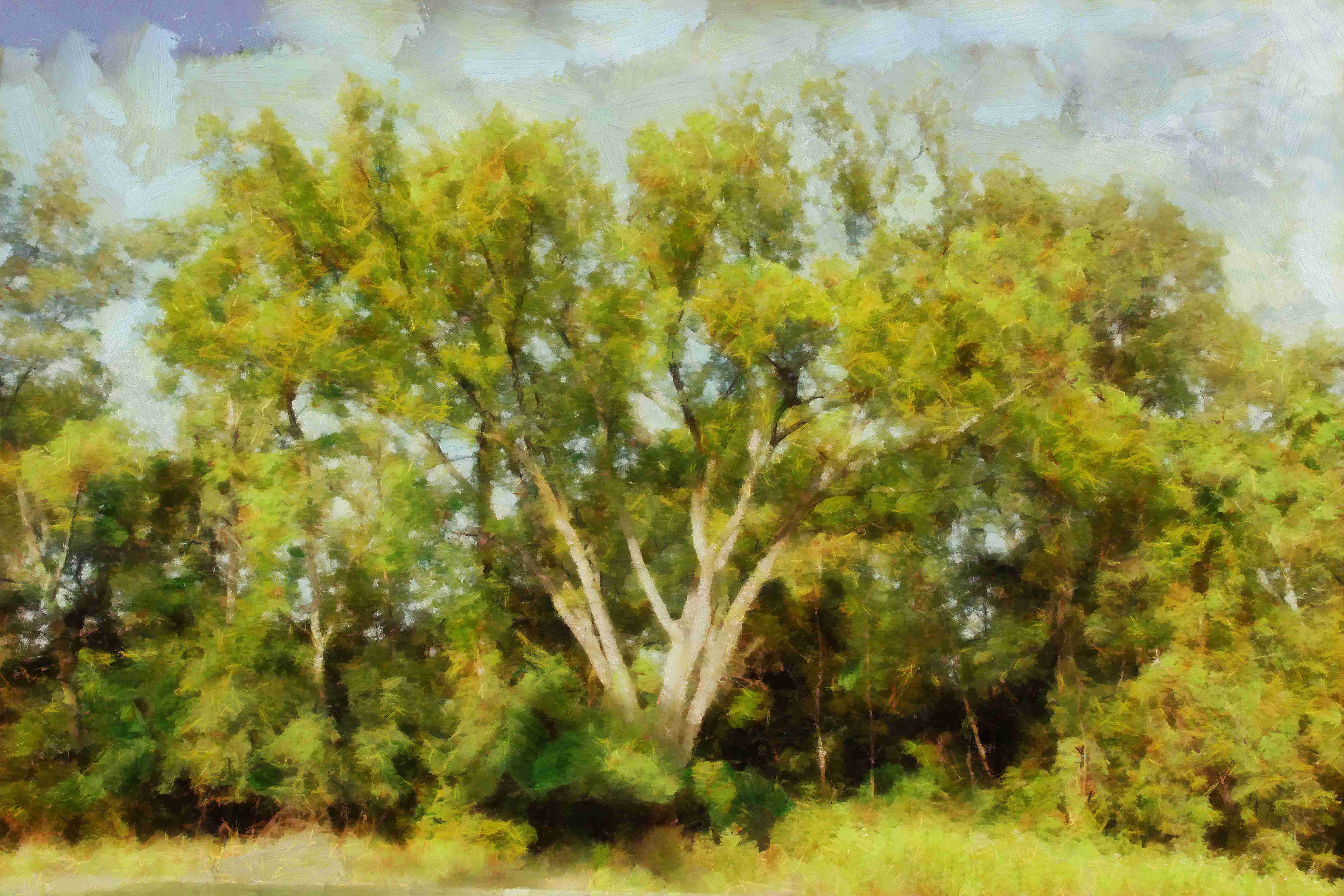 Winston Porter Bright Green Tree - Wrapped Canvas Painting | Wayfair