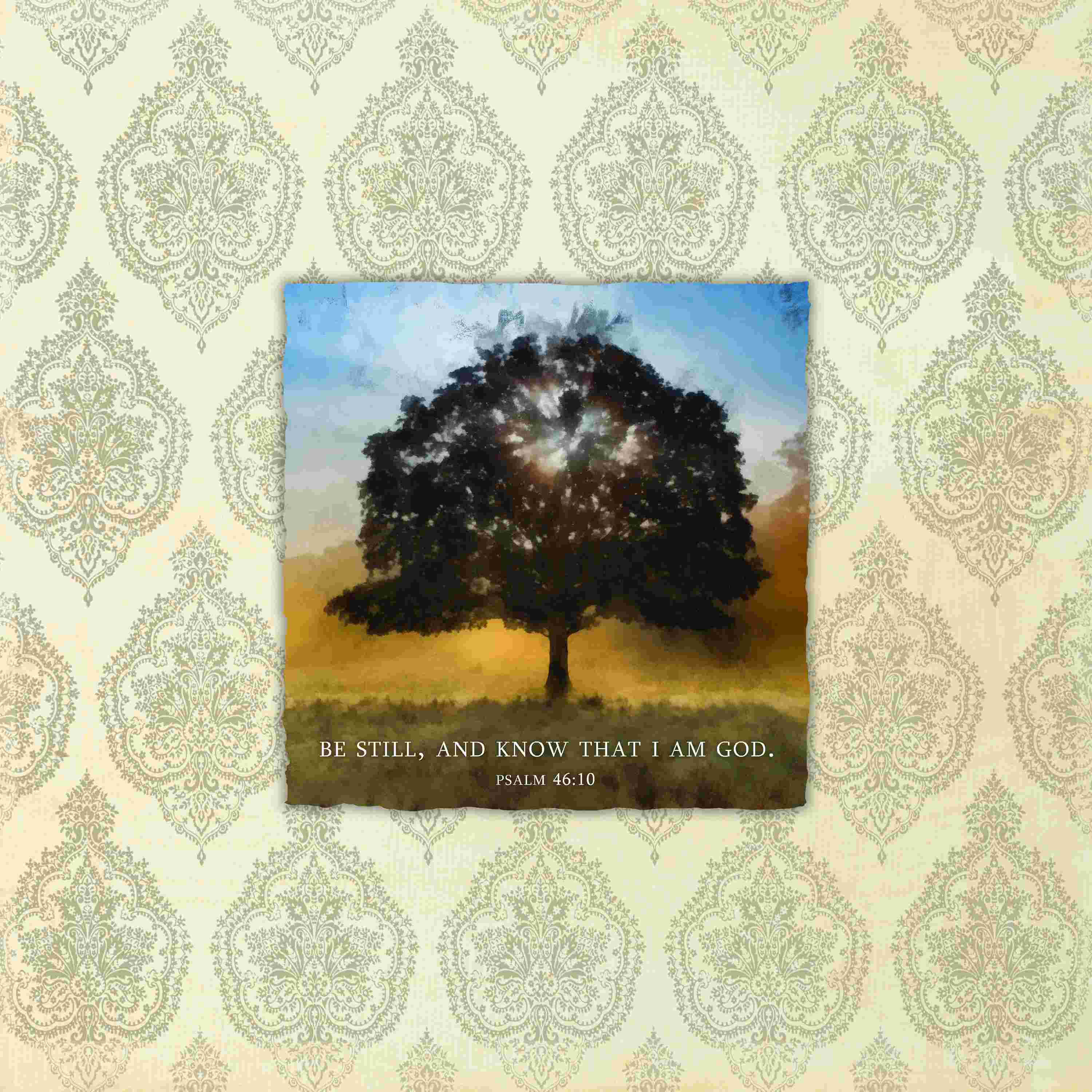Trinx Be Still Tree Gray - Wrapped Canvas Graphic Art | Wayfair
