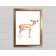Bright Star Springbok - Single Picture Frame Art Prints | Wayfair.co.uk